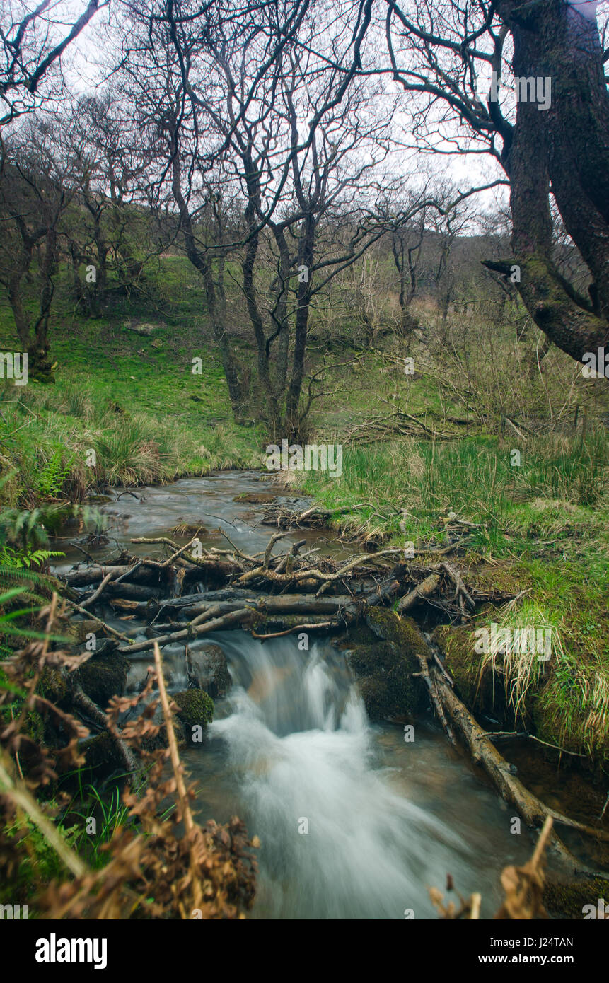 The Gower Landscapes Stock Photo - Alamy