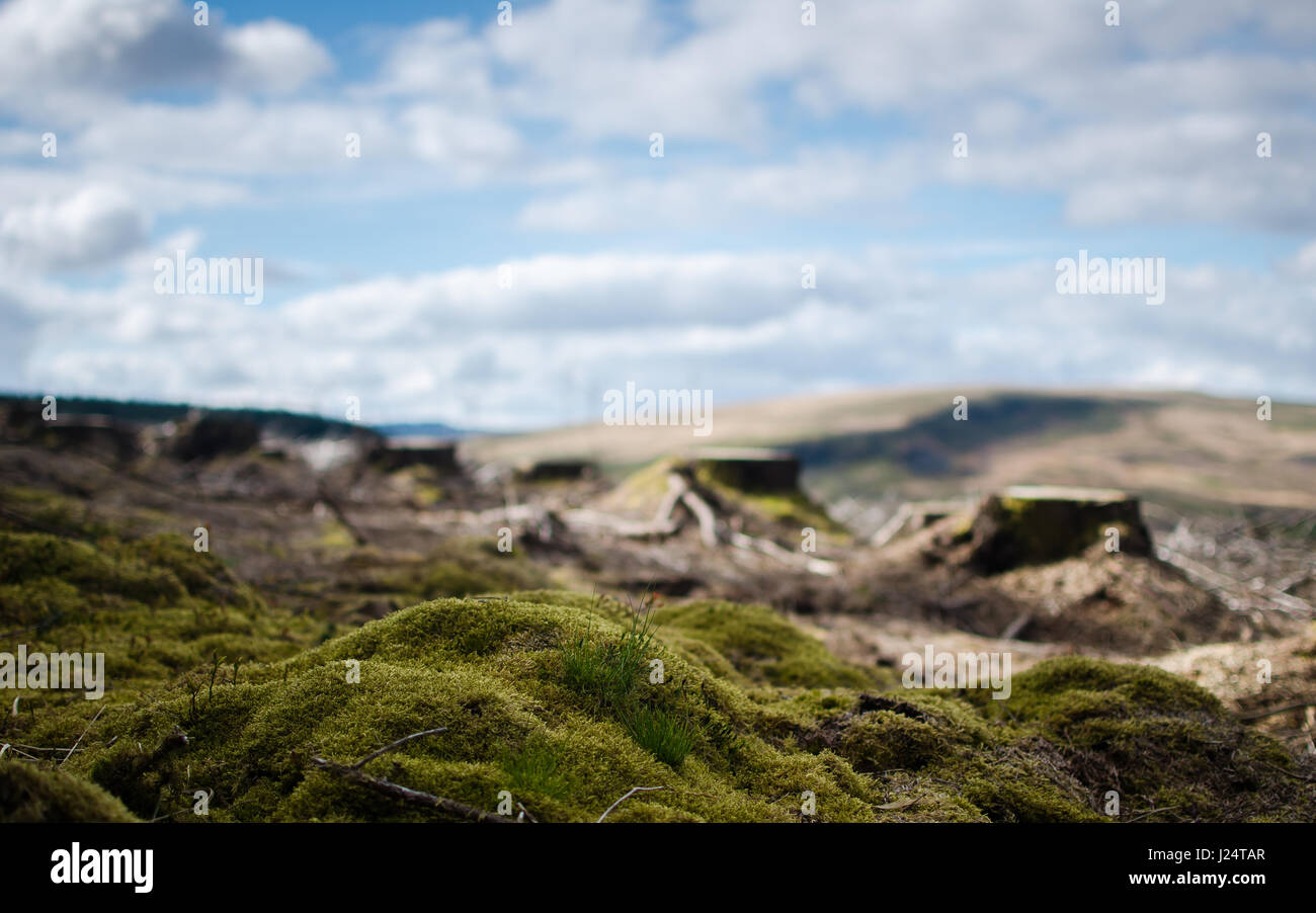 The Gower Landscapes Stock Photo - Alamy