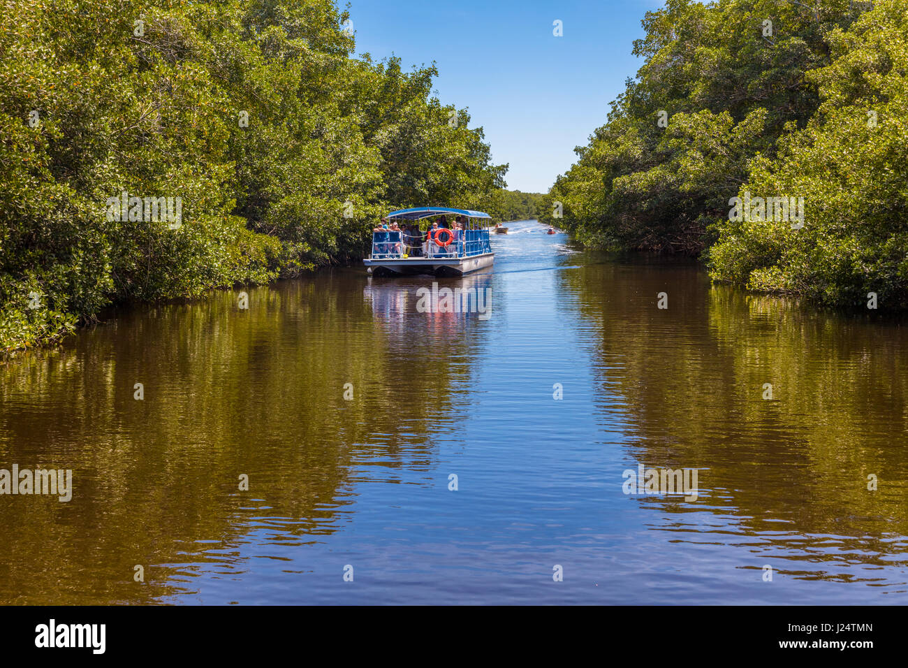 Flamingo buttonwood canal tour boat hi-res stock photography and images ...