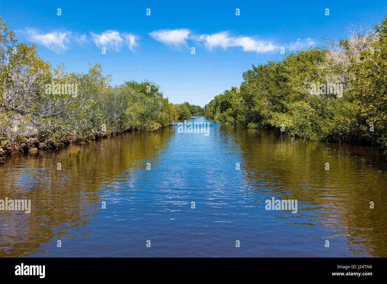 Buttonwood canal hi-res stock photography and images - Alamy