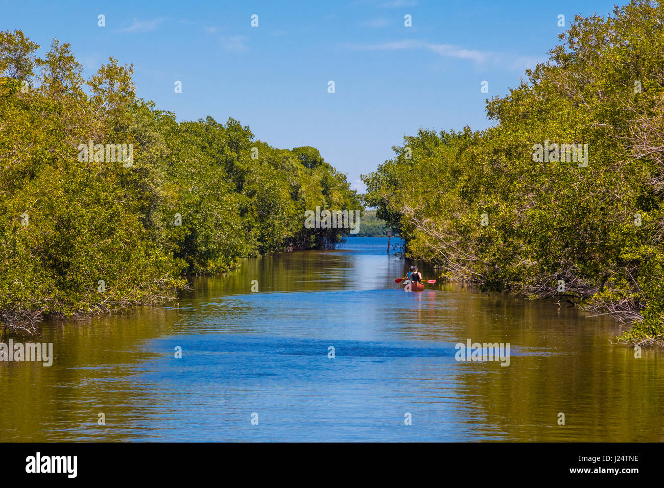 Canoeing on the Buttonwood Canal in the Flamingo area of Everglades ...