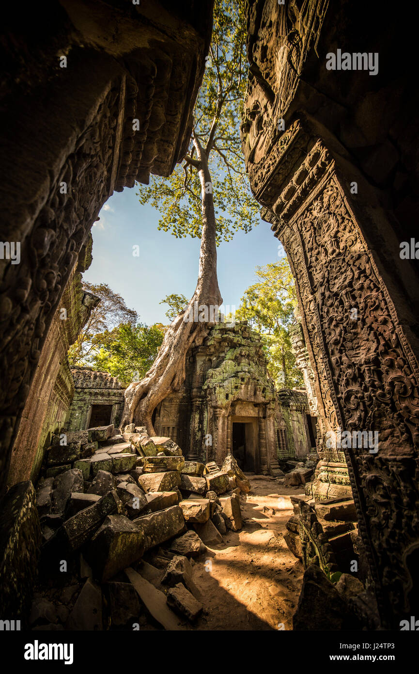Angkor Wat complex, Ancient Khmer architecture and Ta Prohm temple with ...