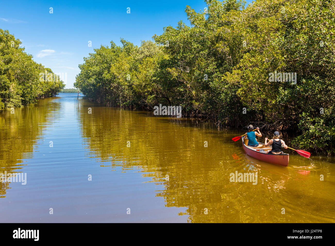 Canoeing on the Buttonwood Canal in the Flamingo area of Everglades ...