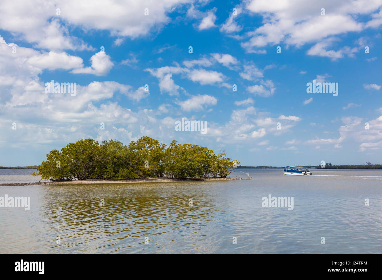 Small island in the Thousand Islands area of Everglades National Park ...