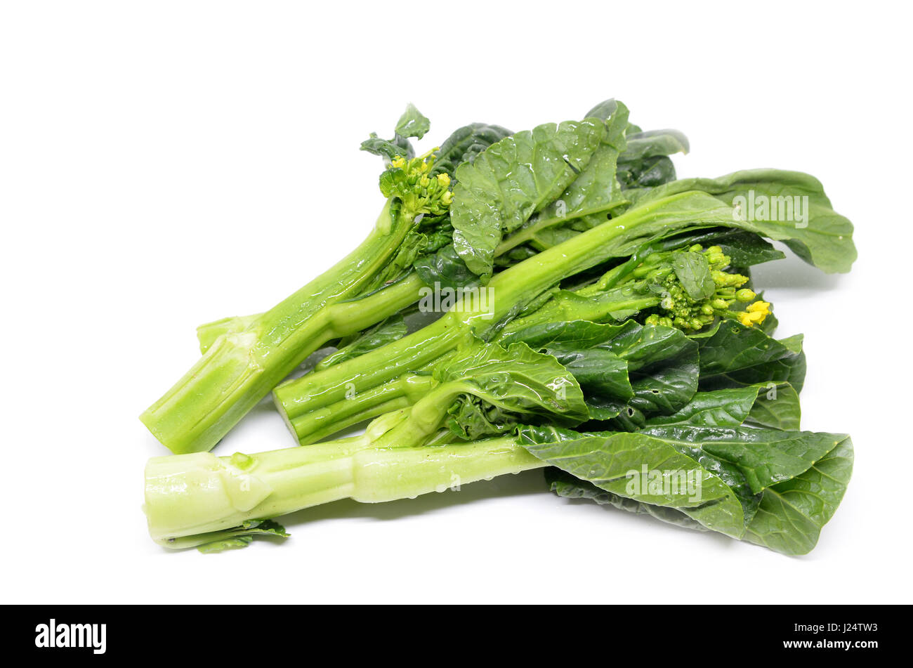 Bunch of floral choy sum green vegetable popular among the Chinese ...