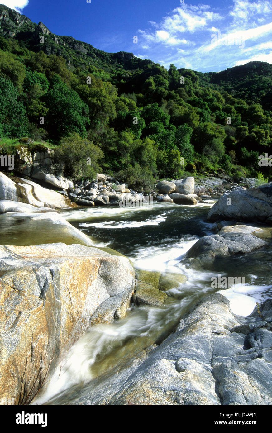 Kaweah River, Sequoia National Park, California Stock Photo - Alamy