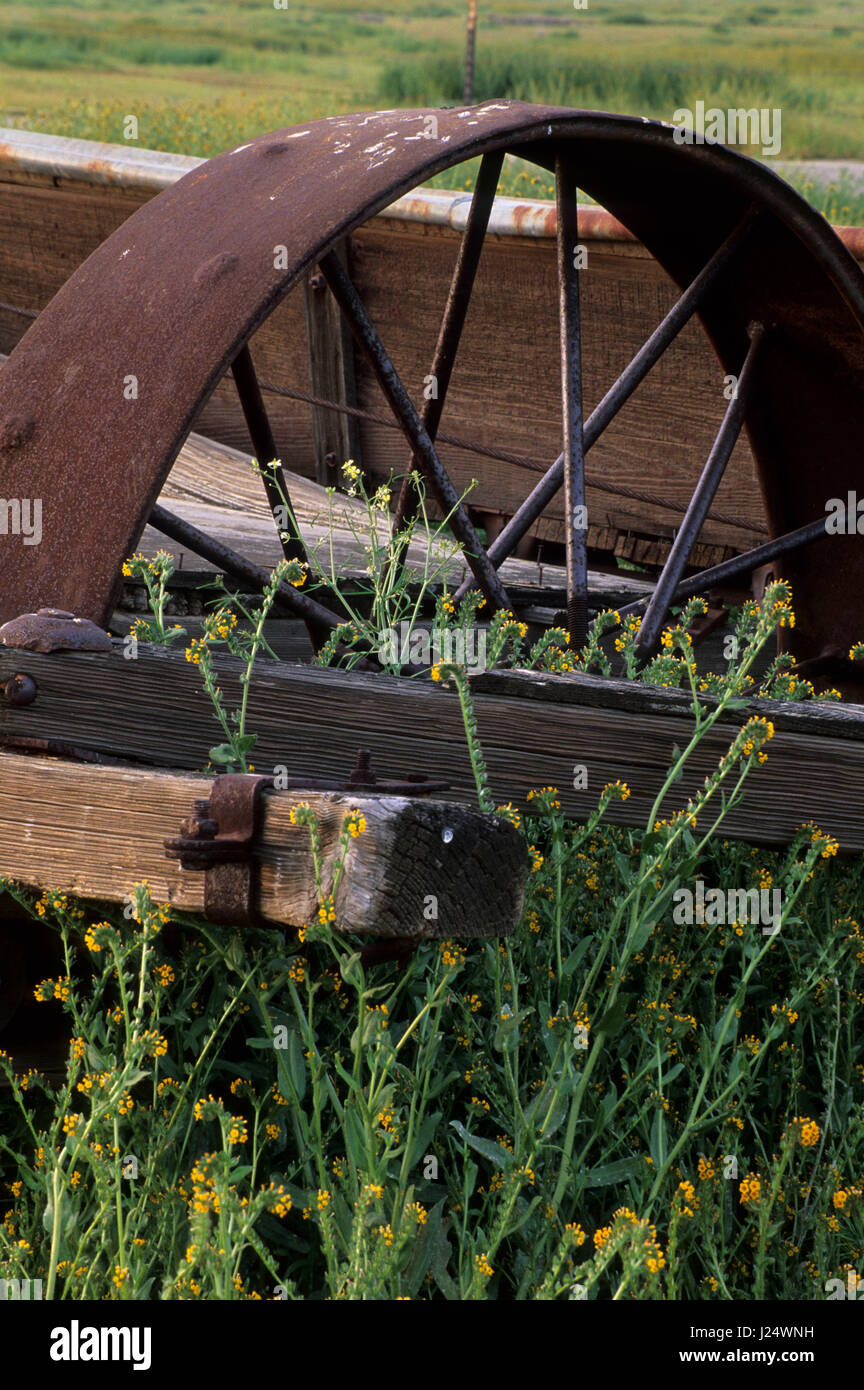 Traver Ranch farm equipment display, Carrizo Plain National Monument ...