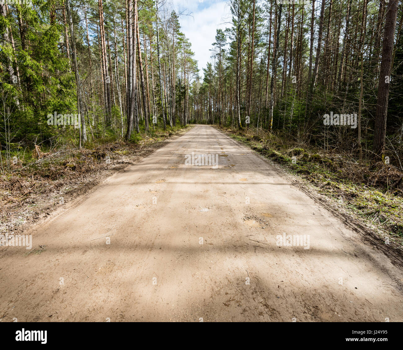 scenic and beautiful tourism gravel roud in the forest surrounded by ...
