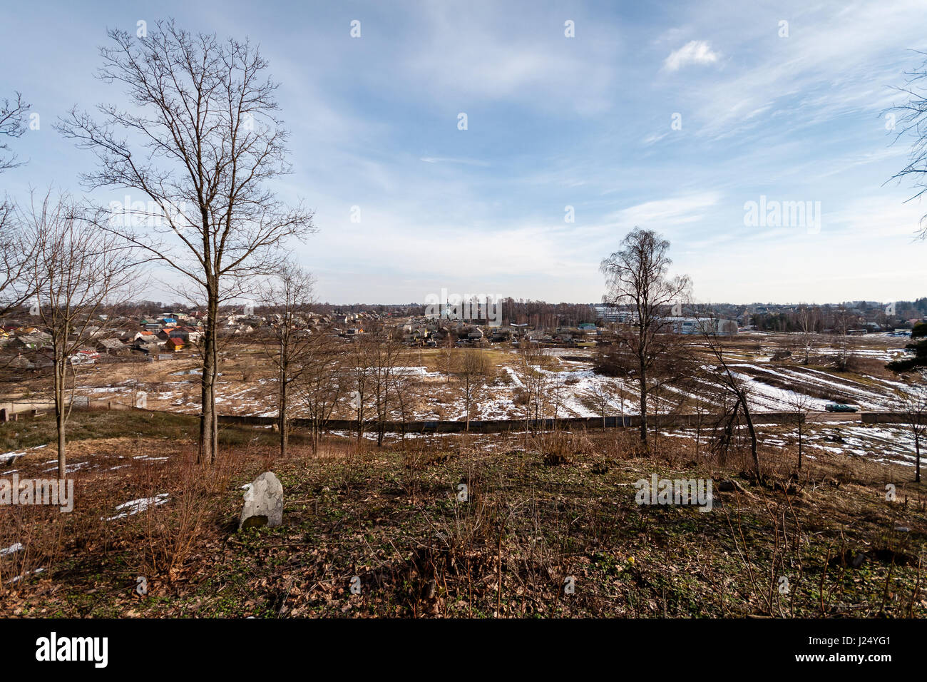 trees against blue sky with branches wide spread. spring motives Stock ...