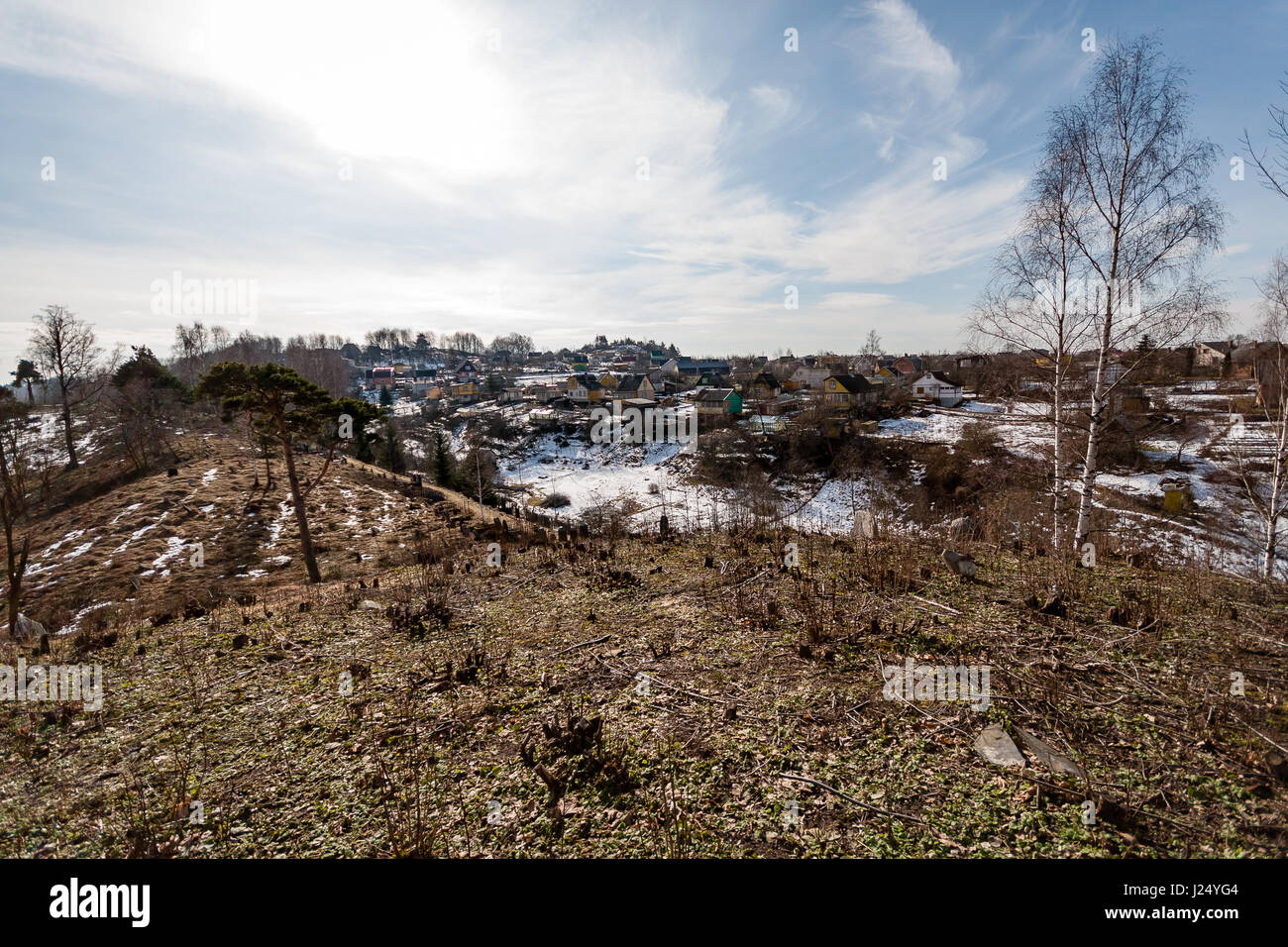 trees against blue sky with branches wide spread. spring motives Stock ...