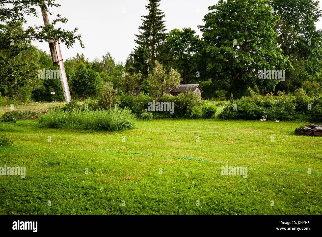 trees against blue sky with branches wide spread. spring motives Stock ...
