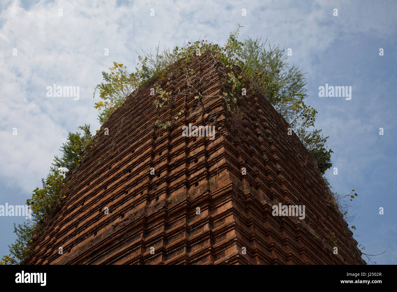 Terracotta plaques on the Ayodhya Moth or Kodla Moth situated in ...