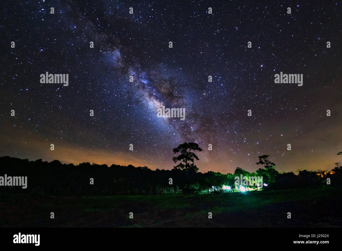 Milky Way and silhouette of tree at Phu Hin Rong Kla National Park ...