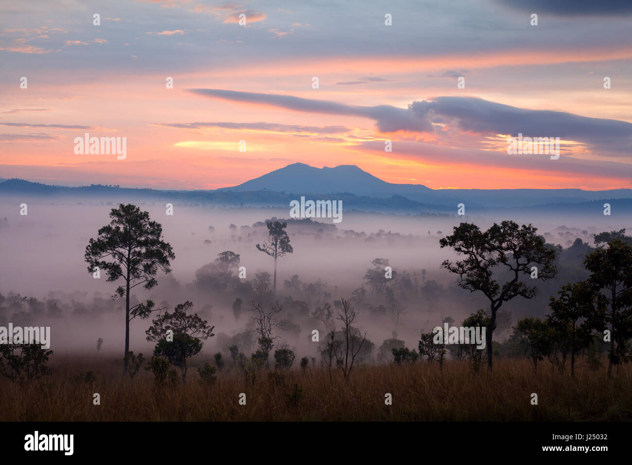 Misty Morning Sunrise At Thung Salang Luang National Park Phetchabun misty-morning-sunrise-at-thung-salang-luang-national-park-phetchabun