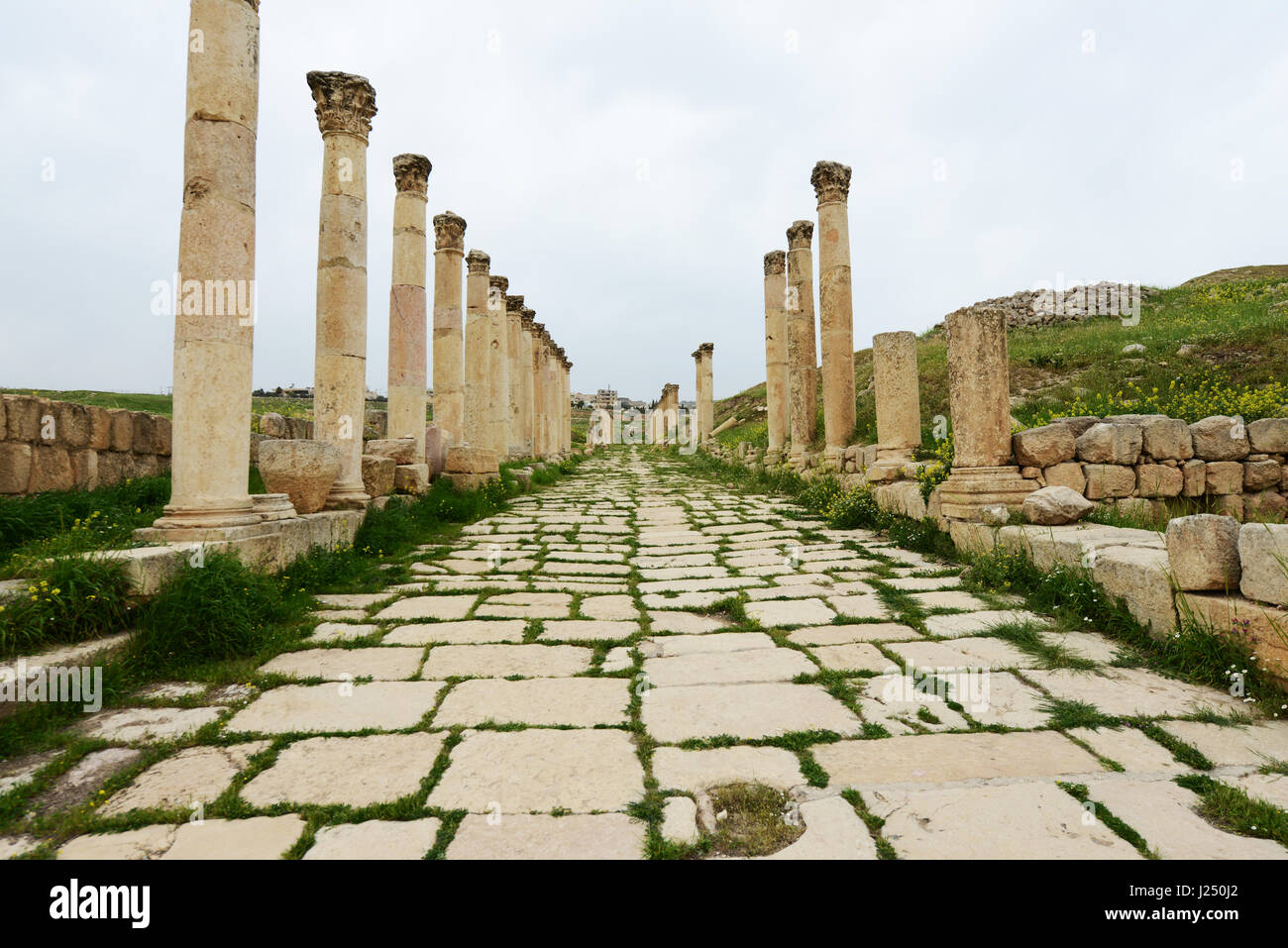 Jerash roman columns hi-res stock photography and images - Alamy