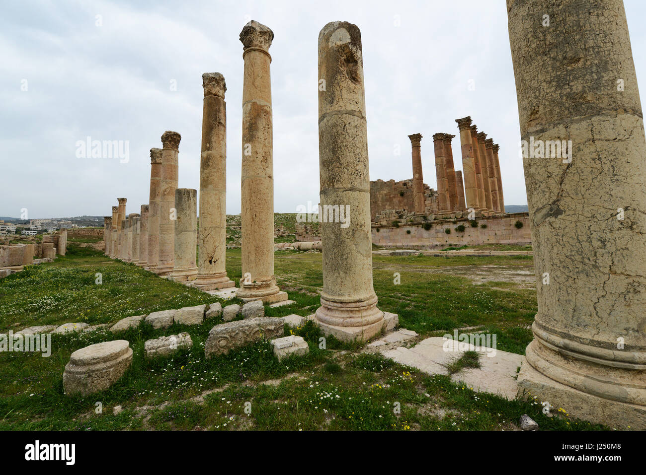 Roman pillars around the temple of Artemis The ancient Roman city of ...