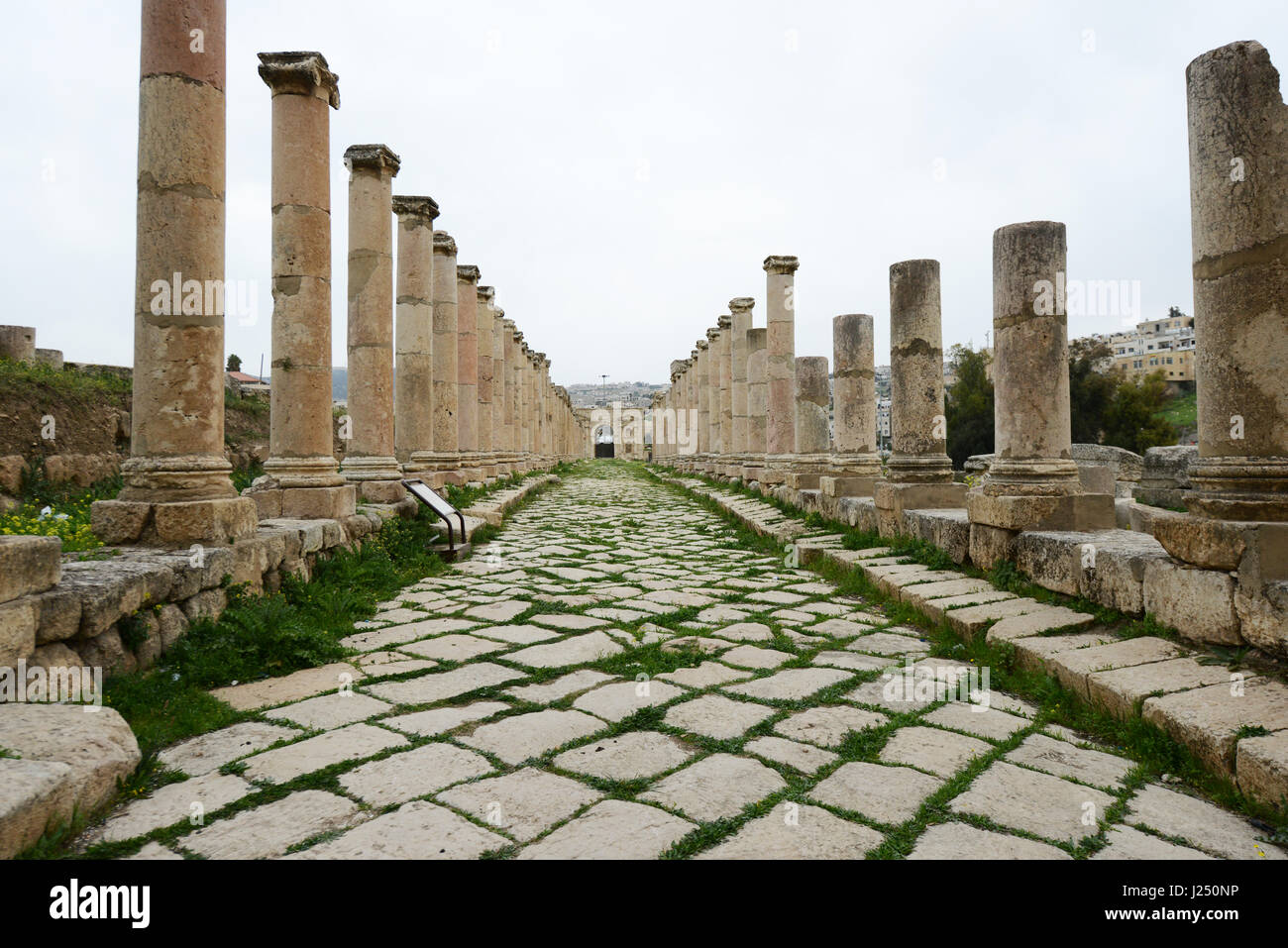The ancient Roman city of Jerash in Jordan Stock Photo - Alamy