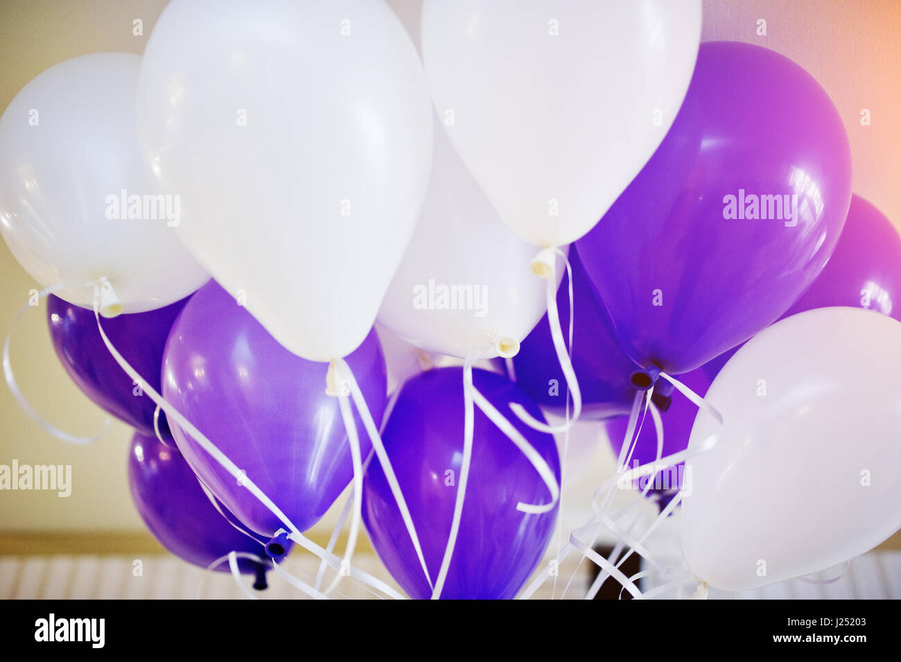 Violet and white balloons at happy birthday party Stock Photo - Alamy