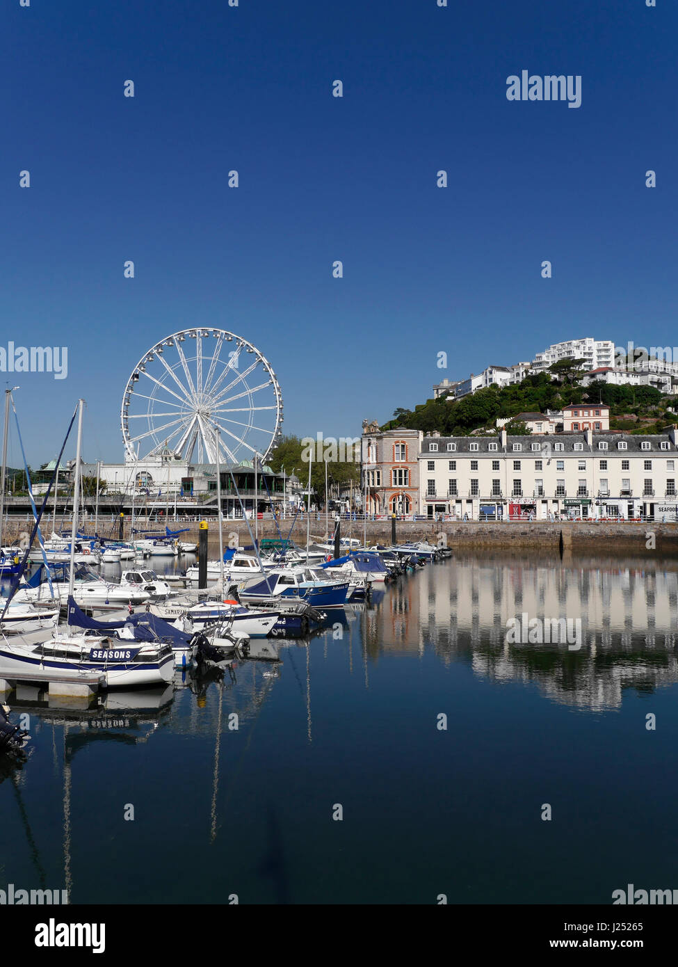 Torquay english riviera hi-res stock photography and images - Alamy