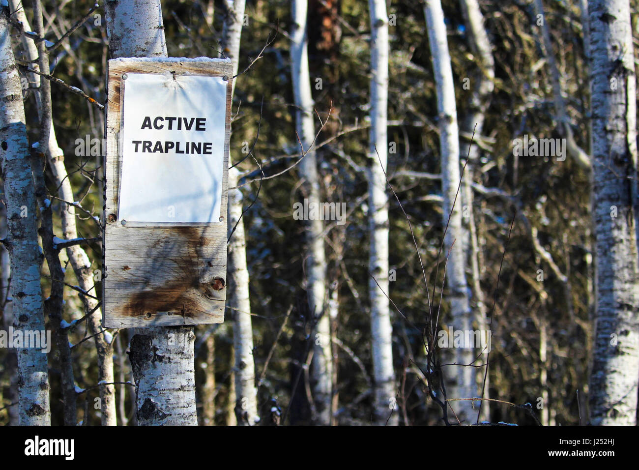 Sign on an Active Trapline in the Woods Stock Photo - Alamy