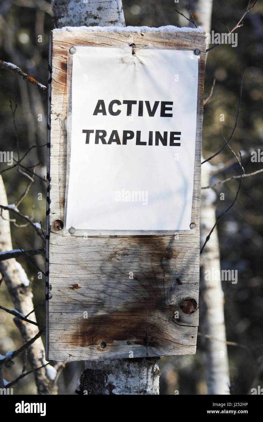 Active Trapline Sign in the Forest Stock Photo - Alamy