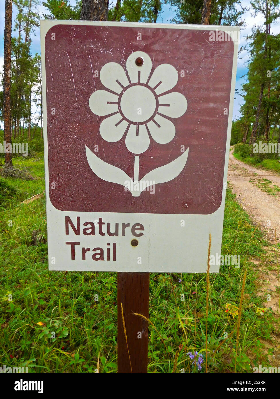 Nature Trail Sign in a Forest Stock Photo - Alamy