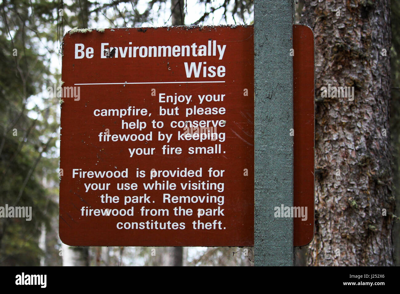 Be Environmentally Wise sign asking to conserve wood Stock Photo - Alamy