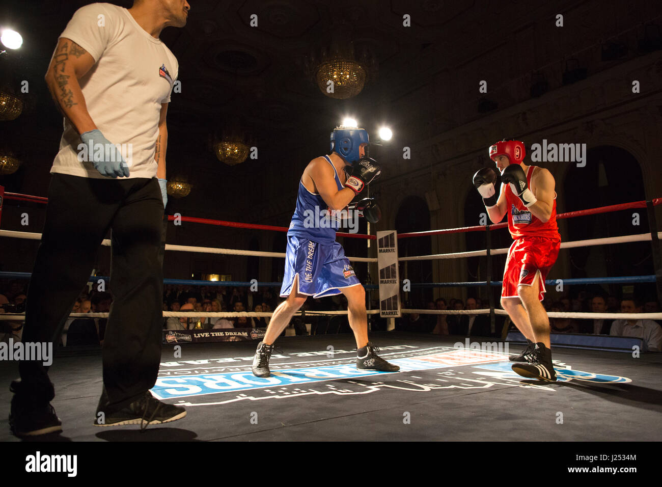 White collar fight club white collate hi-res stock photography and ...