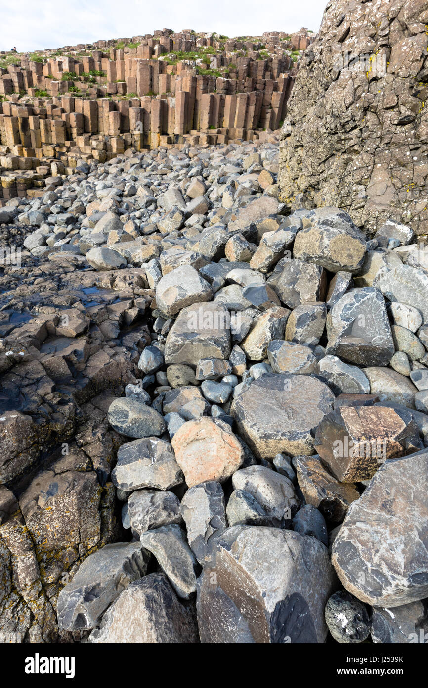 The Giant's Causeway is an area of about 40,000 interlocking basalt ...