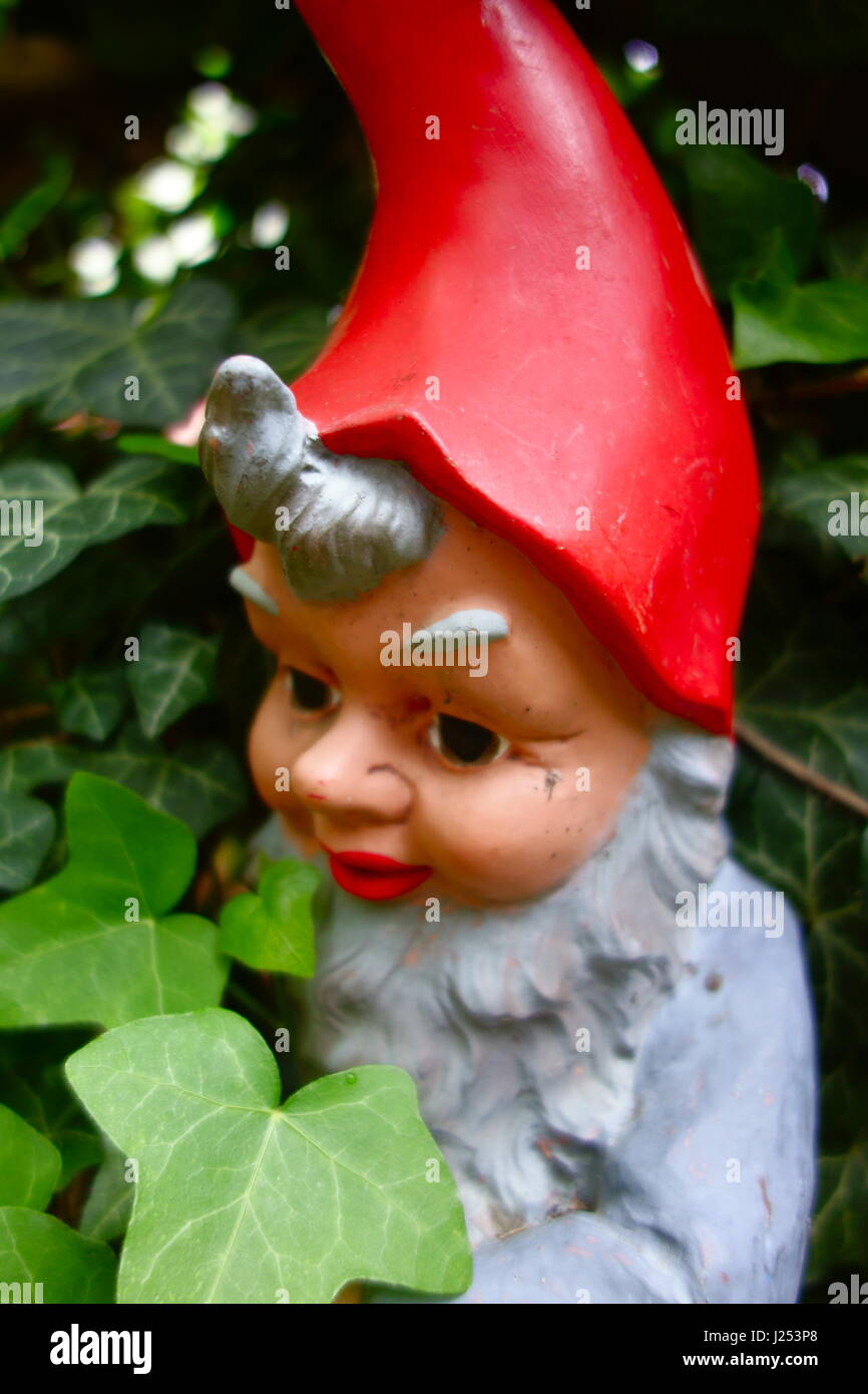 Dwarf family people hi-res stock photography and images - Alamy