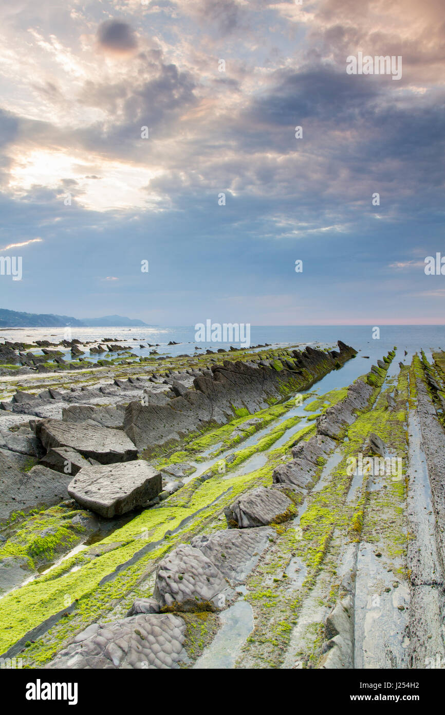 Flysch in Sakoneta beach, Basque Country Stock Photo - Alamy