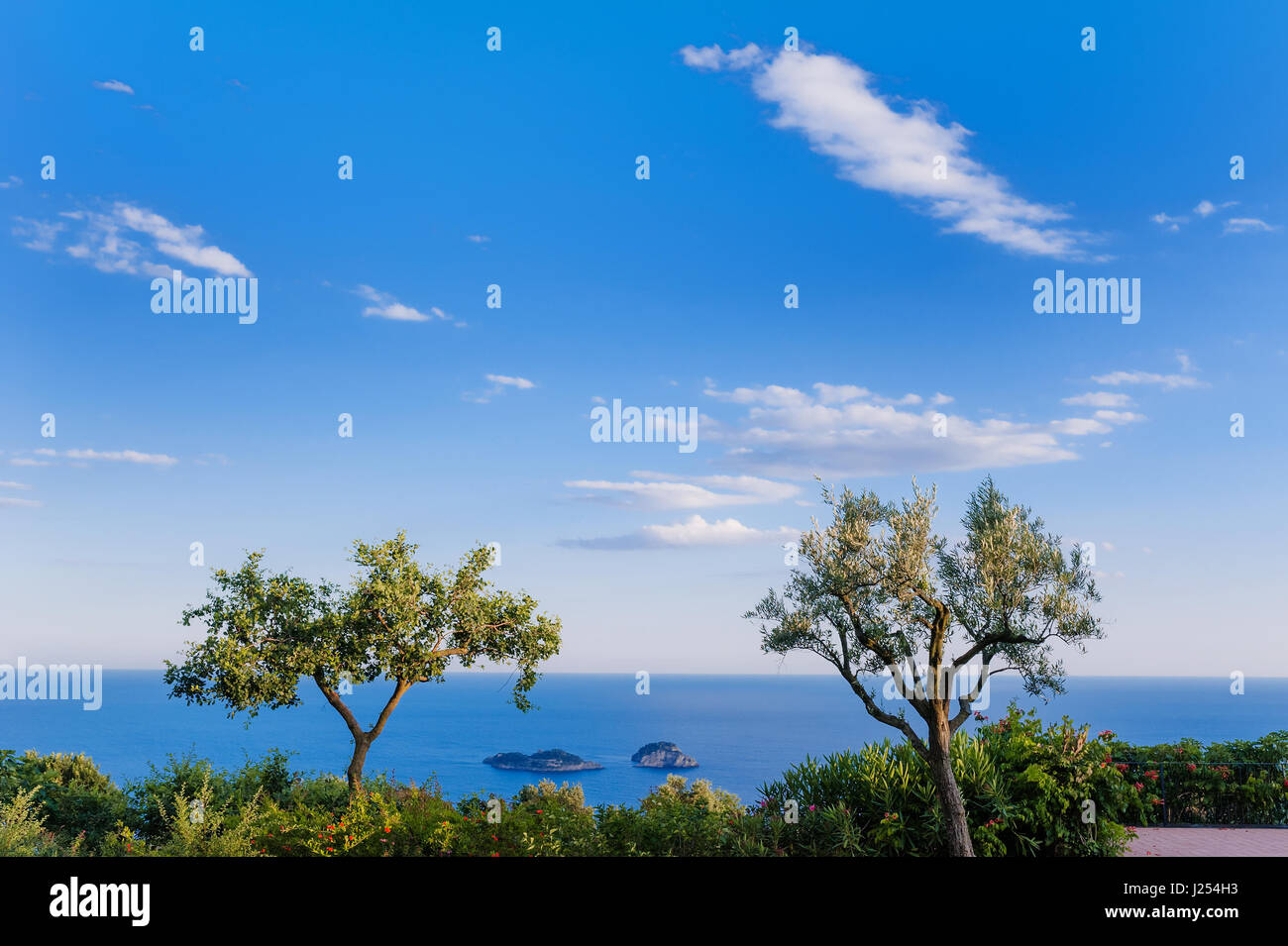 Scenic view of two trees, sky, sea and Li Galli islands on Amalfi Coast ...