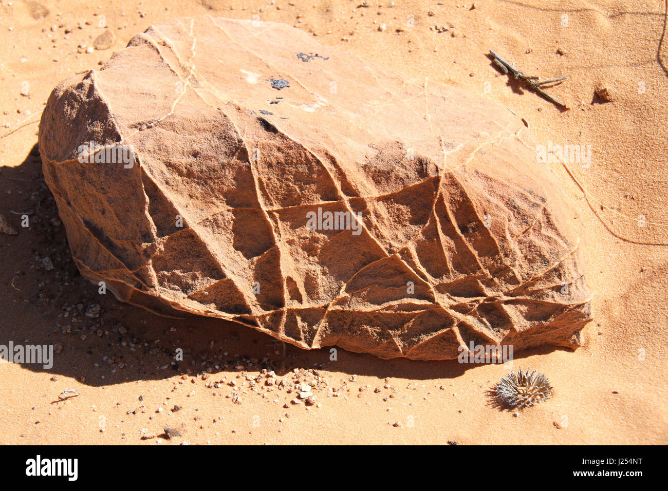 Detail of desert rock hi-res stock photography and images - Alamy