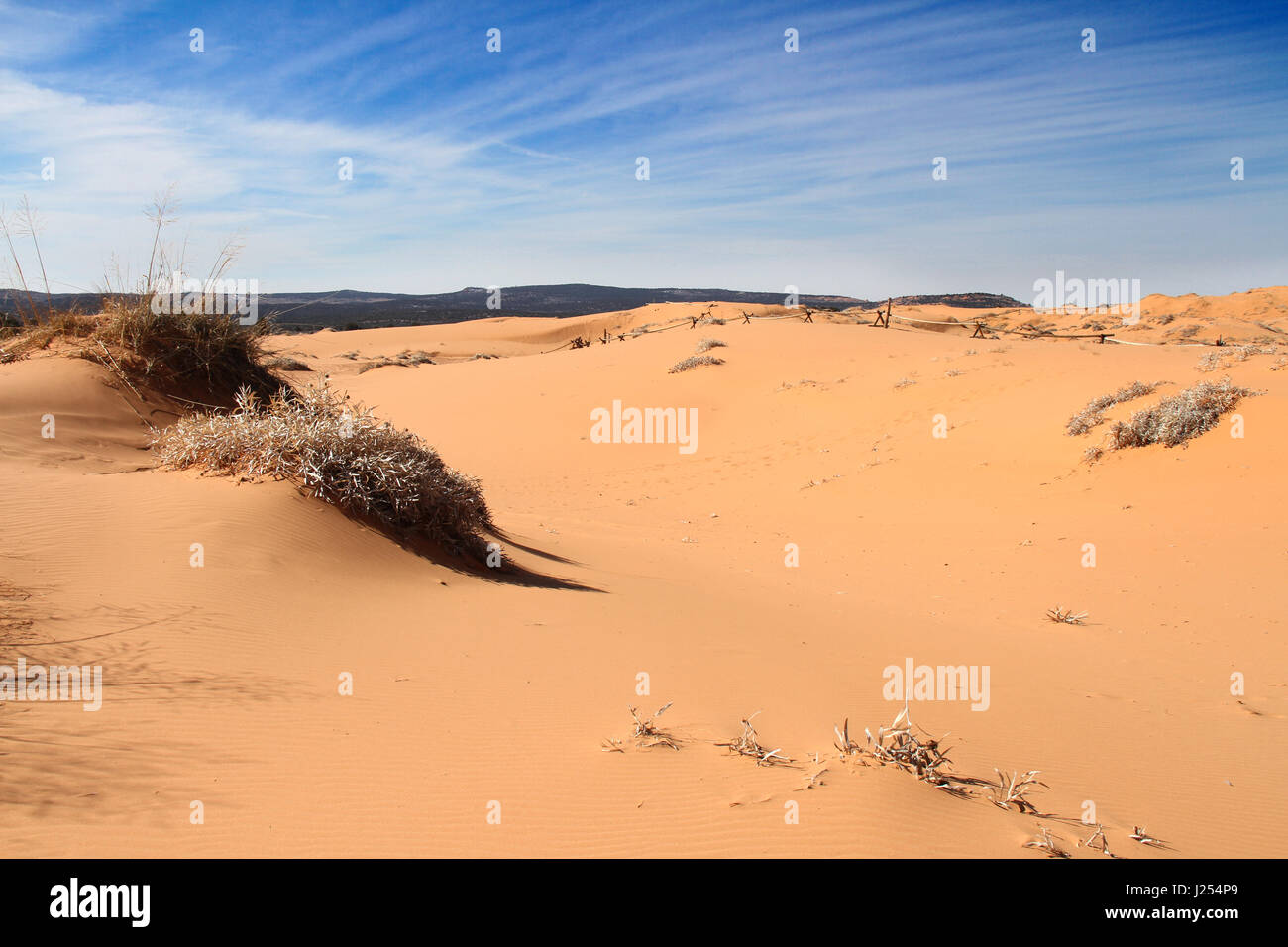 Red sand arizona hi-res stock photography and images - Alamy