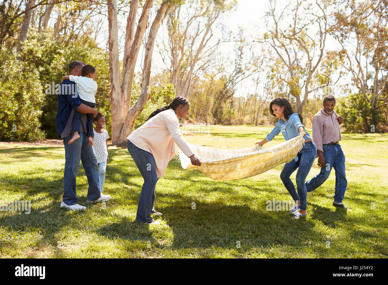 Multi Generation Family Going On Picnic In Park Together Stock Photo ...