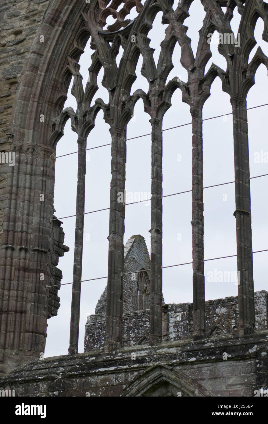Site of medieval Tintern Abbey, of the Cistercian order of monks, at ...