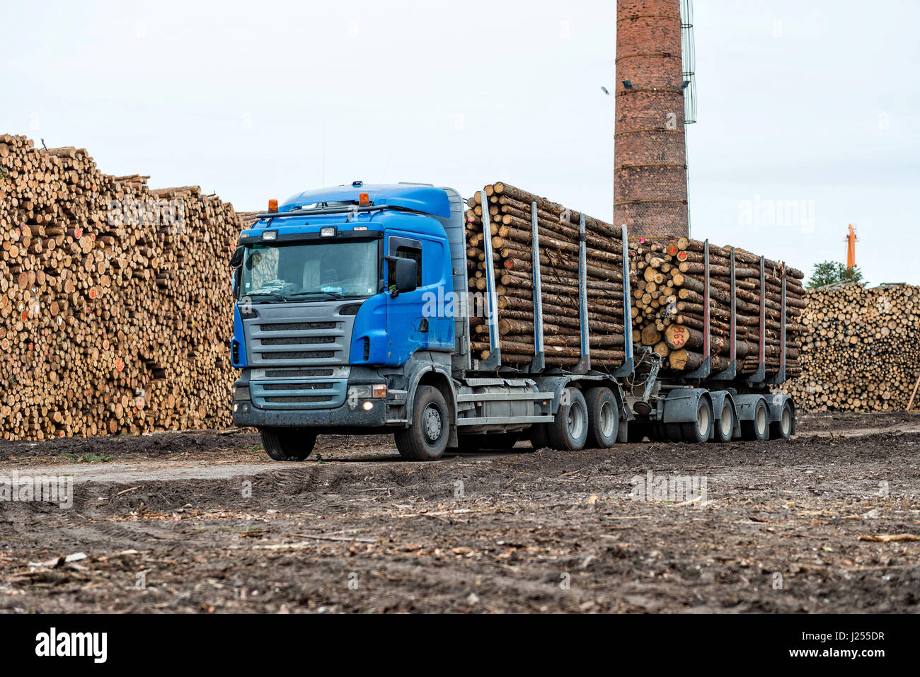 Unloading log truck hi-res stock photography and images - Alamy
