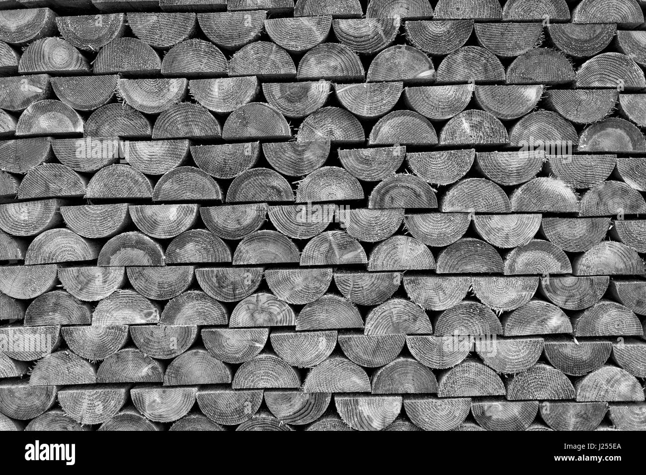 Stacking tree Black and White Stock Photos & Images - Alamy