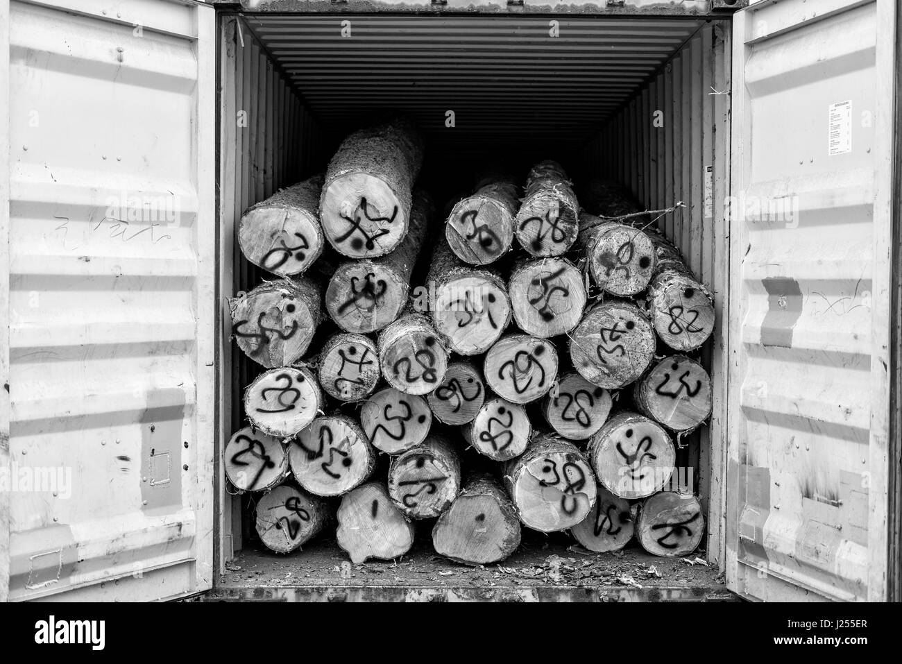 Wooden logs loading of the container Stock Photo - Alamy