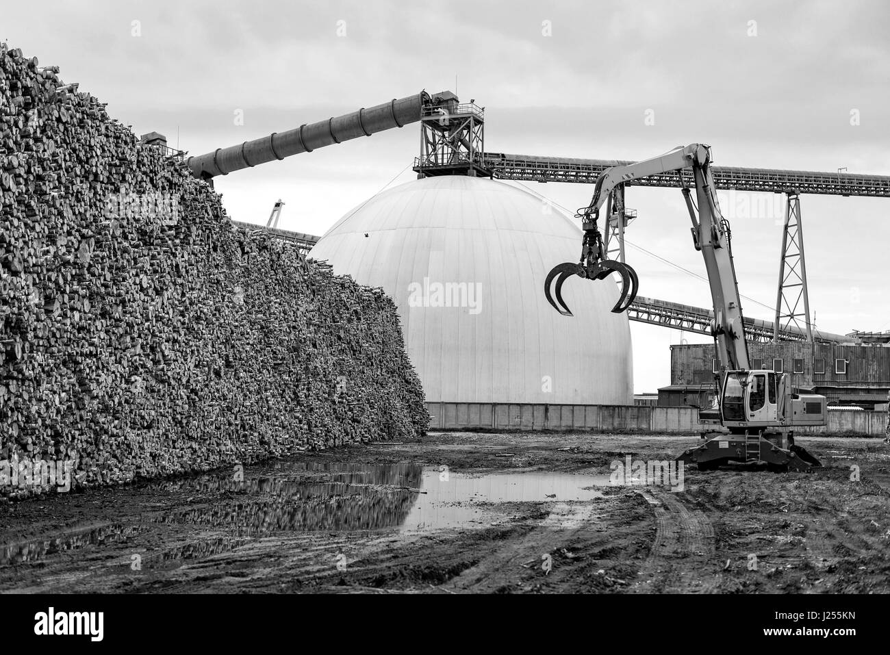 Log loading tractor standing near a pile of logs Stock Photo - Alamy