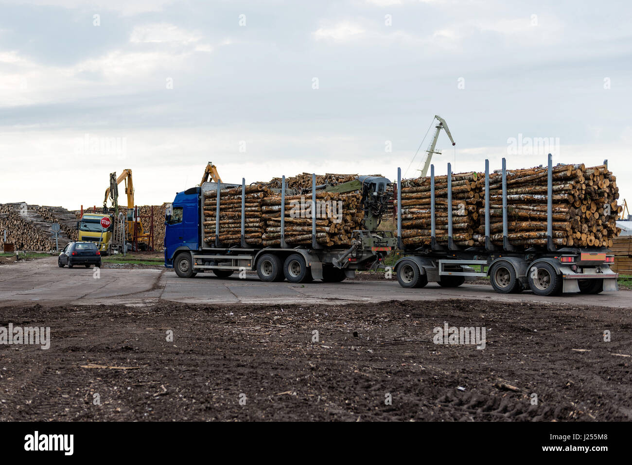 Log truck waiting list for unloading Stock Photo - Alamy