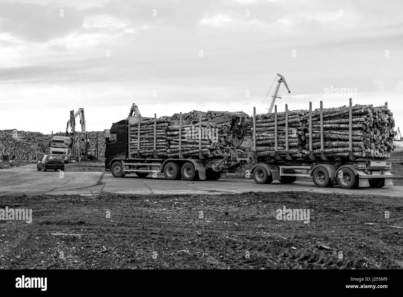 Log truck waiting list for unloading Stock Photo - Alamy
