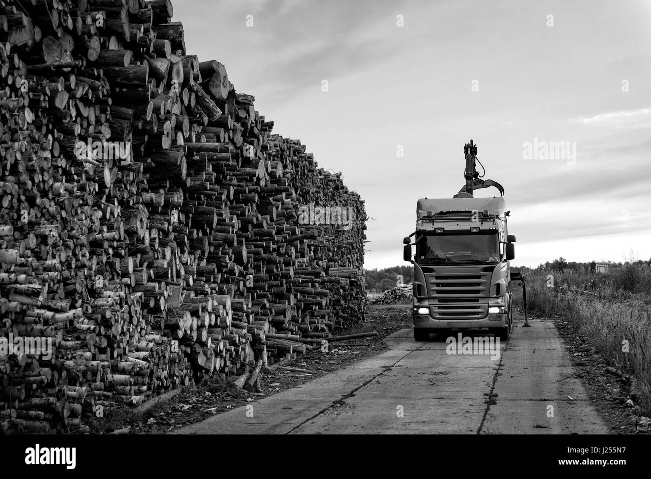 Truck unloads timber at port warehouse field Stock Photo - Alamy