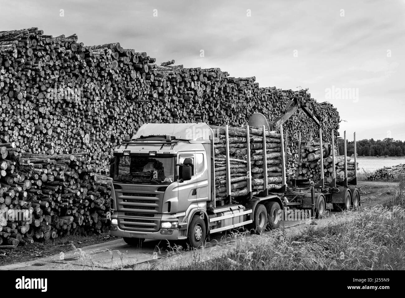 Truck unloads timber at port warehouse field Stock Photo - Alamy