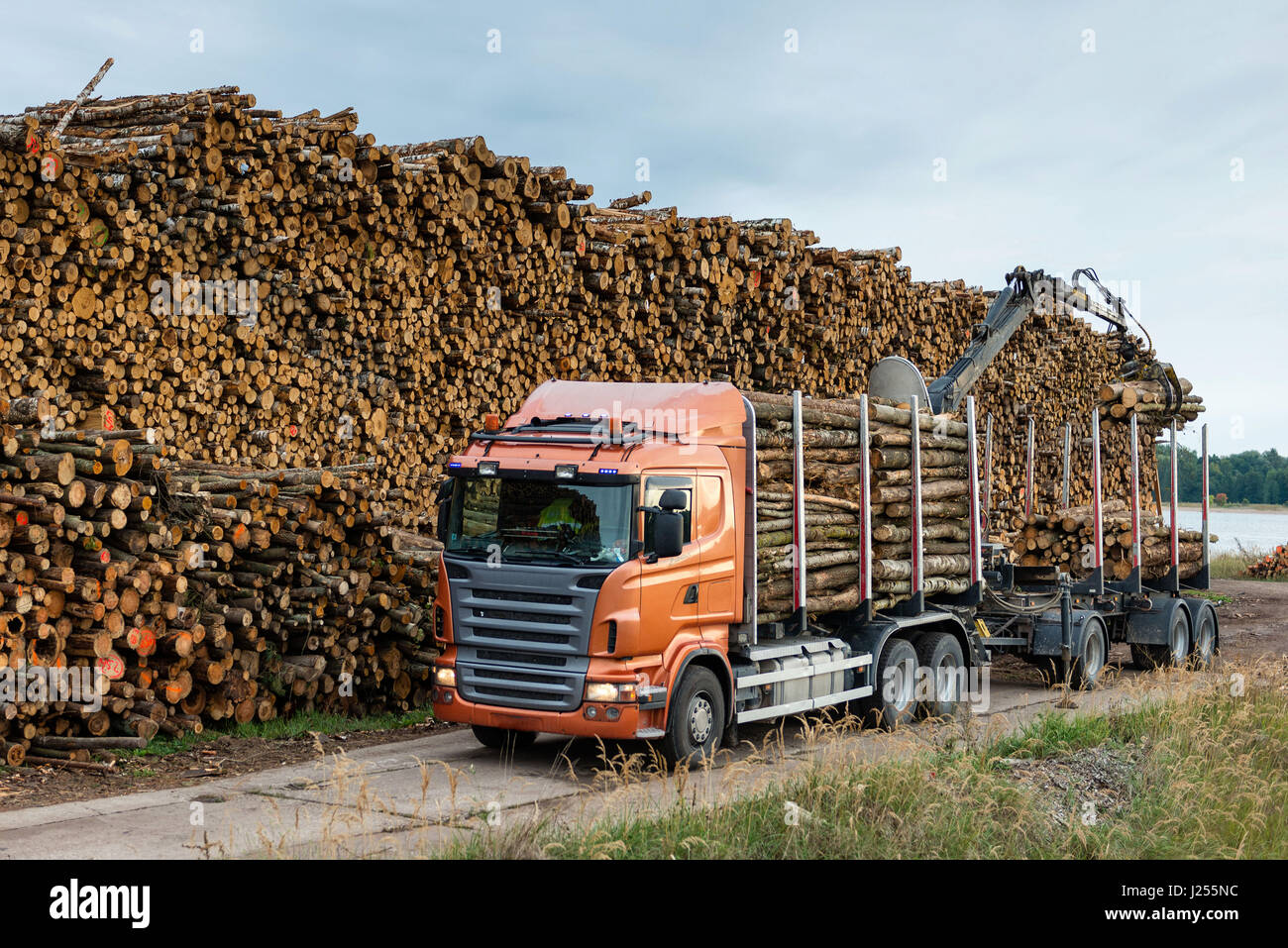 Truck unloads timber at port warehouse field Stock Photo - Alamy