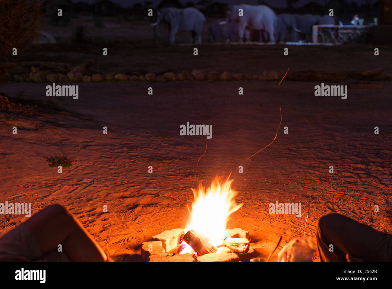 Couple sitting at burning camp fire in the night. Camping in the desert ...