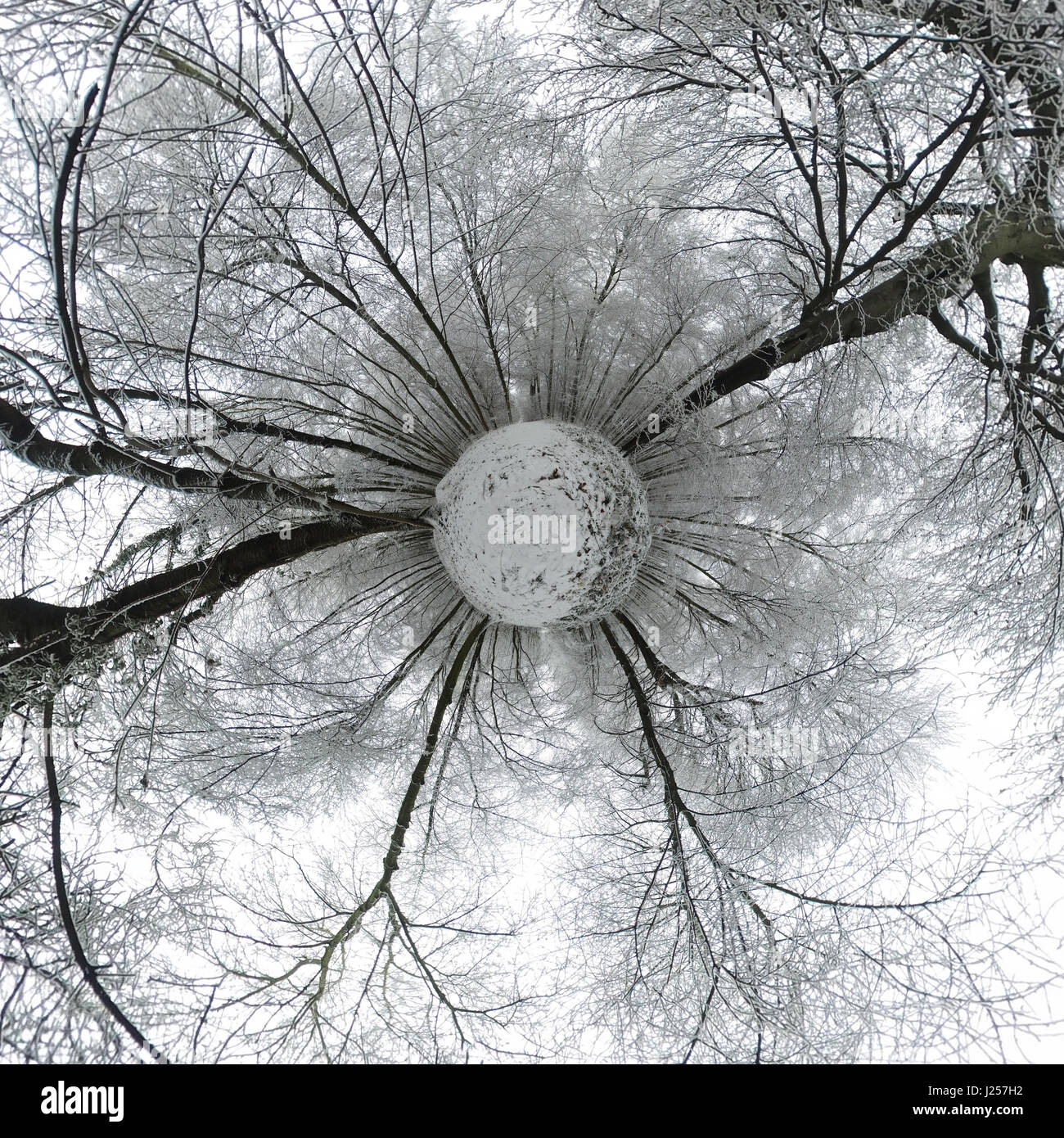 360 degrees Panorama Planet Landscape Winter Trees Stock Photo - Alamy