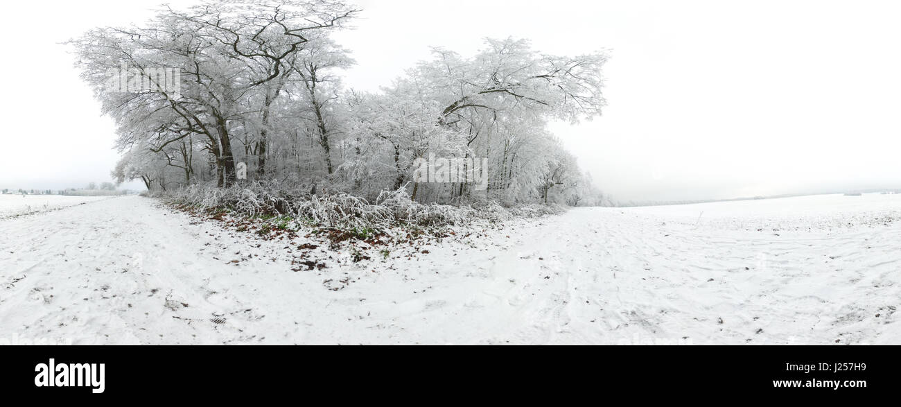 360 vr panorama hi-res stock photography and images - Alamy