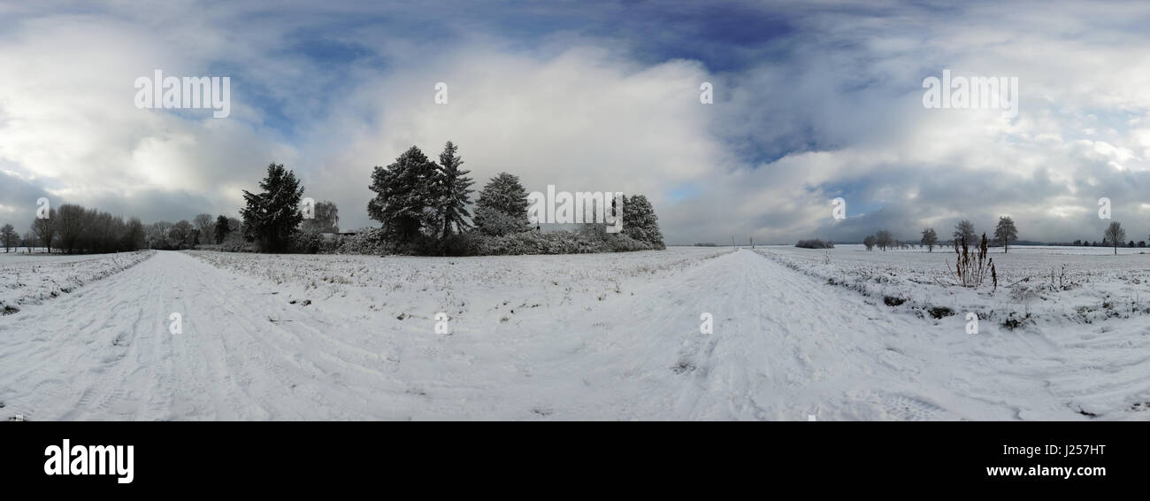 Forest: 360 degree spherical panorama. Winter frosty landscape Stock ...