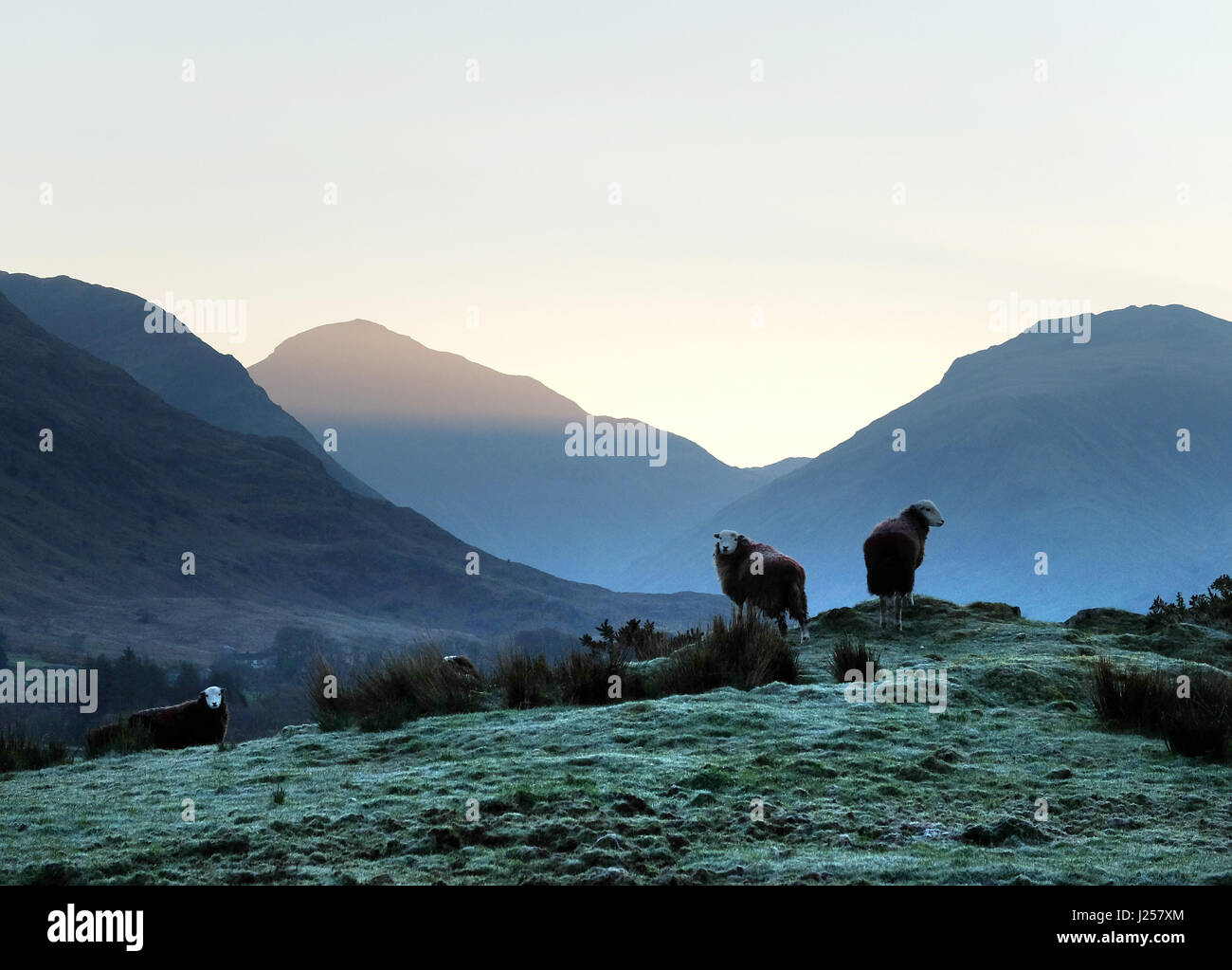 Sun rising on a frosty spring morning in the Englsh Lake District ...